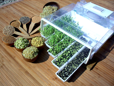 Le germoir automatique Easygreen : le plus pratique des germoirs ! - Le ...