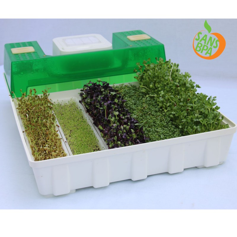 Le germoir automatique Easygreen : découvrez sa nouvelle version ! - Le ...