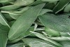 Tisane maison : 6 recettes d'infusion pour l'automne